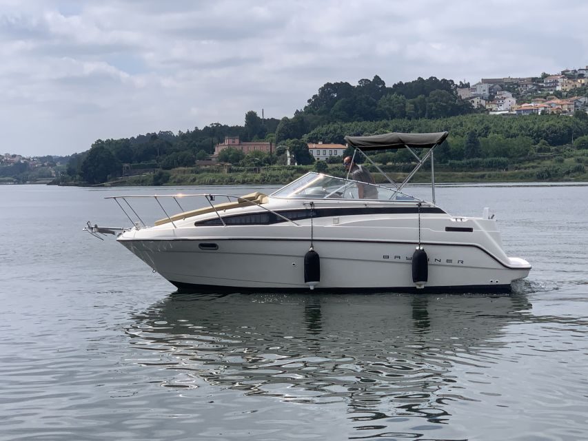 Private Cruise in Rio Douro - 2 hours - Up to 8 Passengers