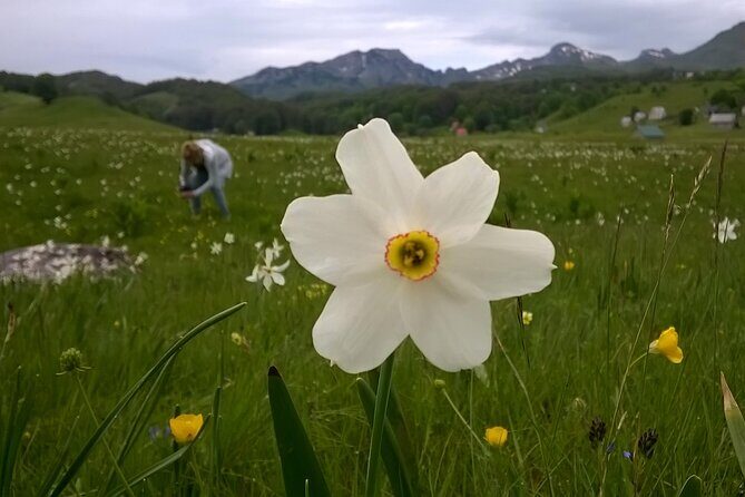 Private Full-Day Tour in Moraca and Tara Canyons, Durmitor & Biogradska Gora NP