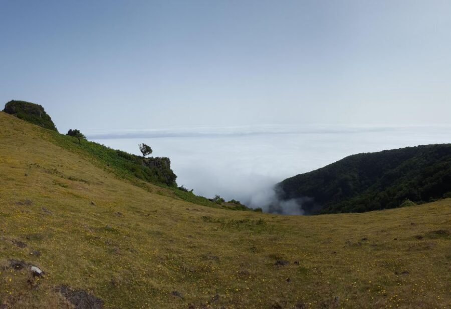 Private Full-Day Tour of North Coast and Laurissilva Forest