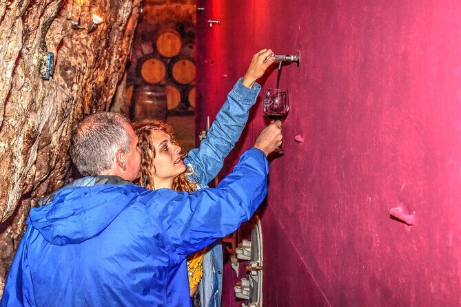 Private Full Day Wine Tour in Rioja