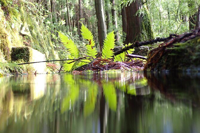 Private hike along the Levada