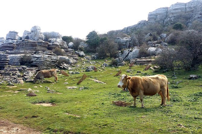 Private hiking in El Torcal from Marbella or Malaga