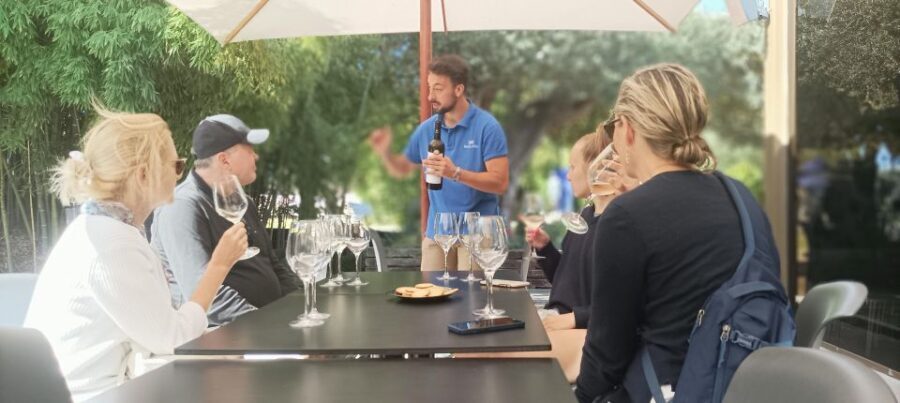 Private Lisbon Arrábida Wine Tour: Culture, Scenery & Wines