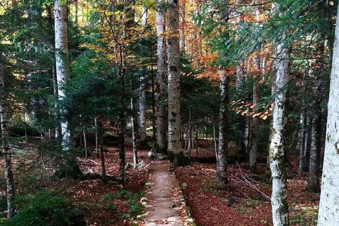 Private north Montenegro tour -Moraca River Canyon and walk trough Virgin Forest