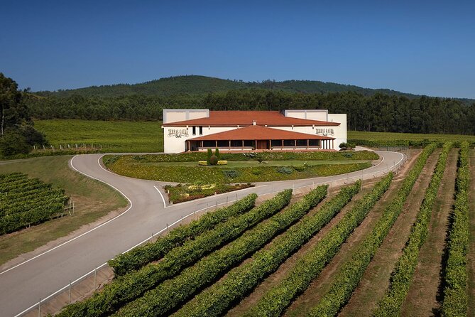 Private Porto Santiago Compostela Tour with Albariño Wine - An Overview of the Experience
