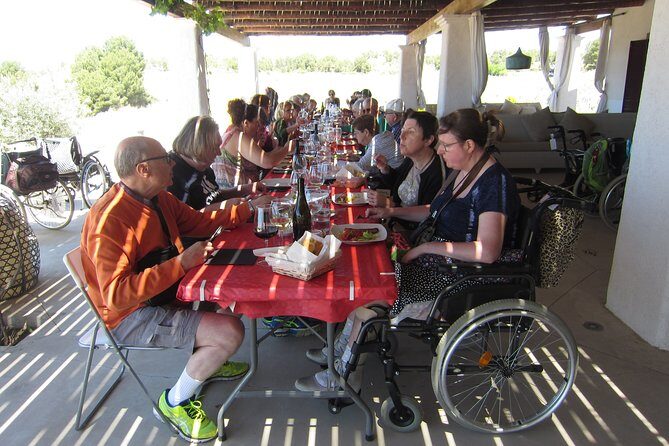 Private, premium: 3 wineries in Valencia region + winery lunch