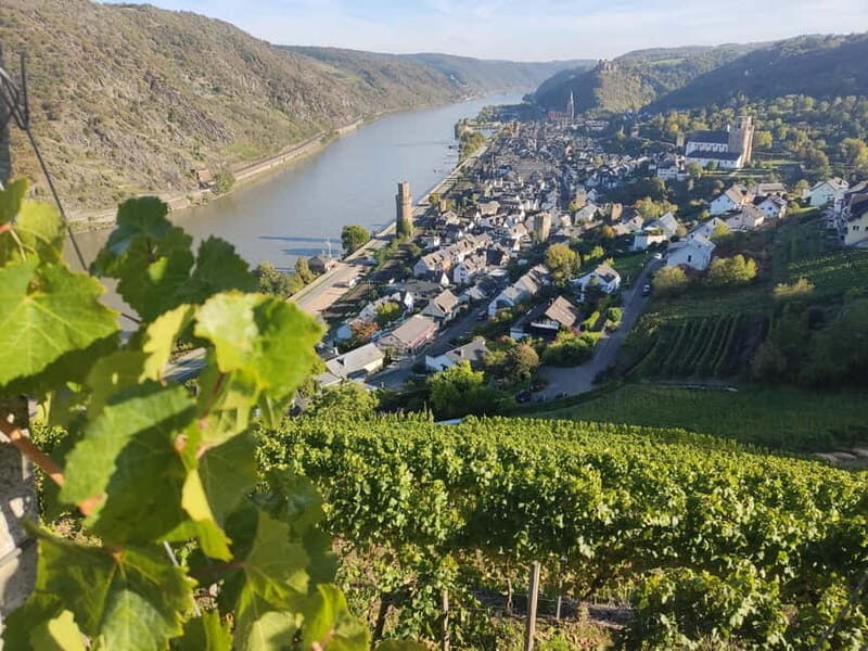 Private Rhine Valley tour with river cruise & wine tasting