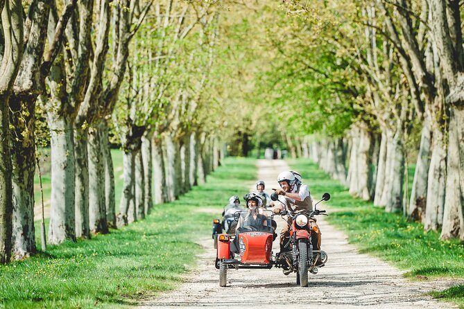 Private ride in the vineyards and wine tasting from Saint-Emilion
