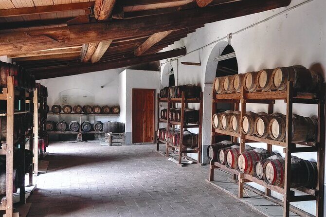 Private tasting of organic wines in the cellar in Arezzo - A Closer Look at the Experience