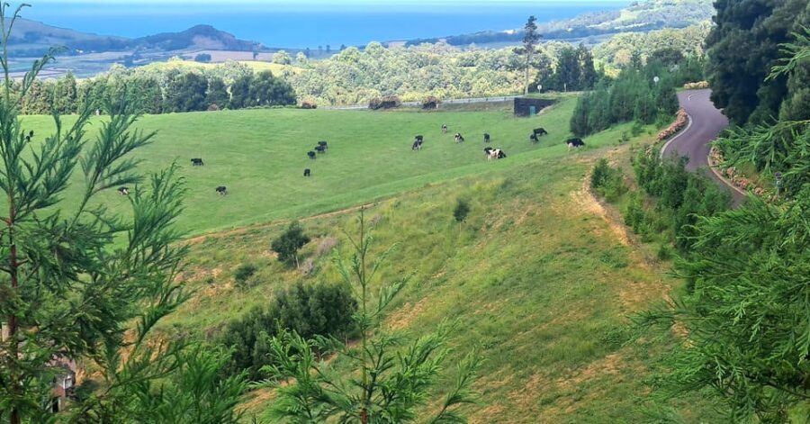 Private Tour Full Day Sete Cidades and Lagoa do Fogo
