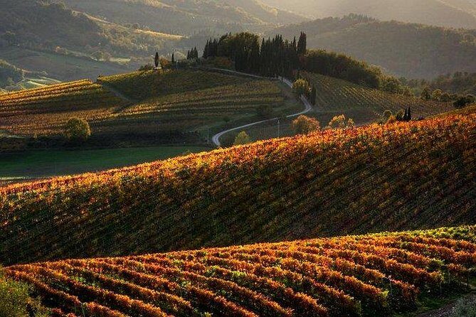 Private Tour: Guided Hike in Tuscany with Transport from Siena