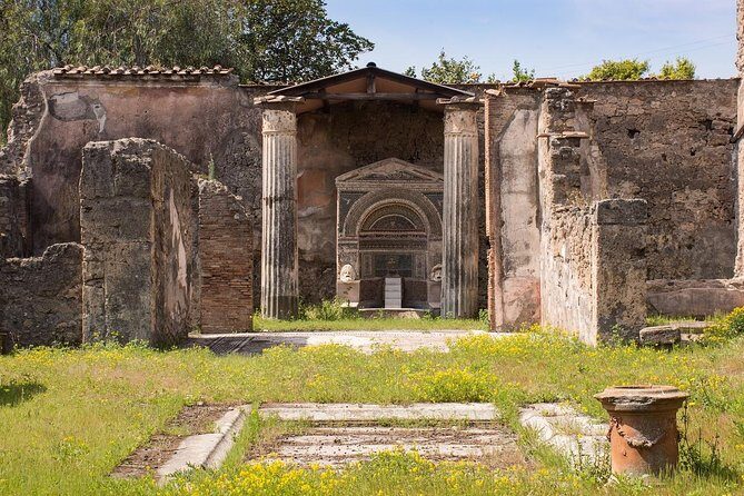 Private Tour of Pompeii with official tour guide and skip the line tickets - Why Choose This Pompeii Tour?