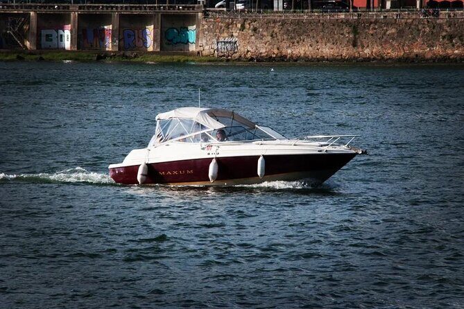 Private Tour of the Bridges and Douro River 2h, group price up to 6px