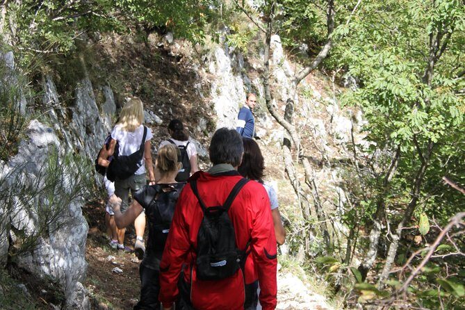 Private Tour: Truffle-Hunting Experience from Positano with Lunch