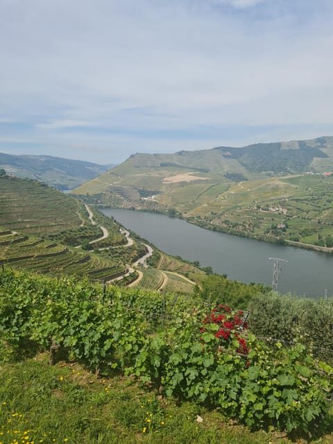 Private tours and transport amazing for you at DOURO Valley - What We Love and What to Consider