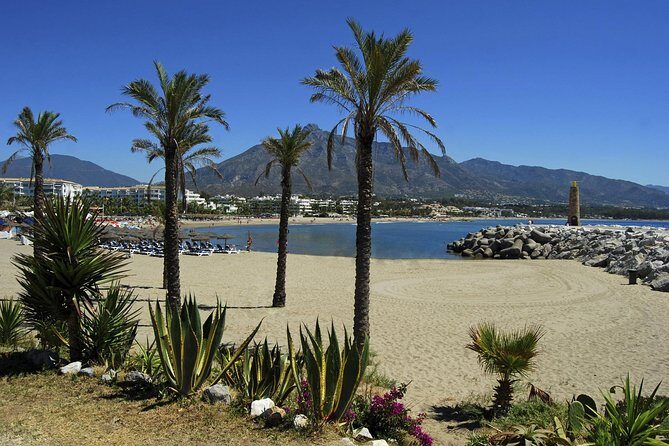 Private Transfer from Malaga airport (AGP) to Fuengirola
