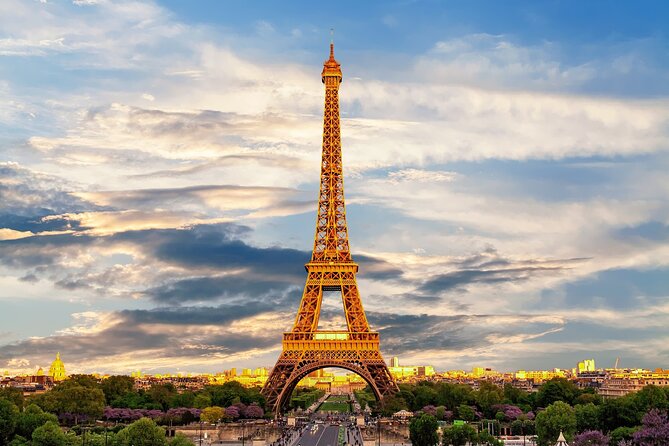 Private Transfer From Reims To Paris, 2 Hour Stop in Epernay - A Comfortable, Scenic Transfer with a Sparkling Bonus