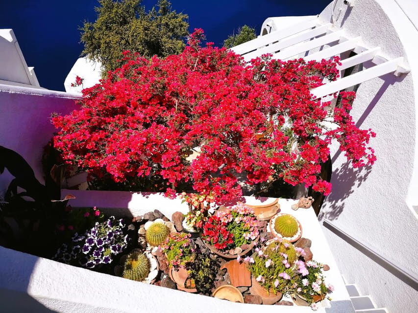 Private Unseen Authentic Santorini Half Day Shore Excursion