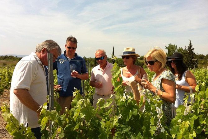 Private Wine day tour from Carcassonne and around. - An Introduction to the Private Carcassonne Wine Tour