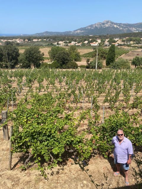 Private wine tour around Ile rousse & Calvi with transport - Exploring the Itinerary in Detail
