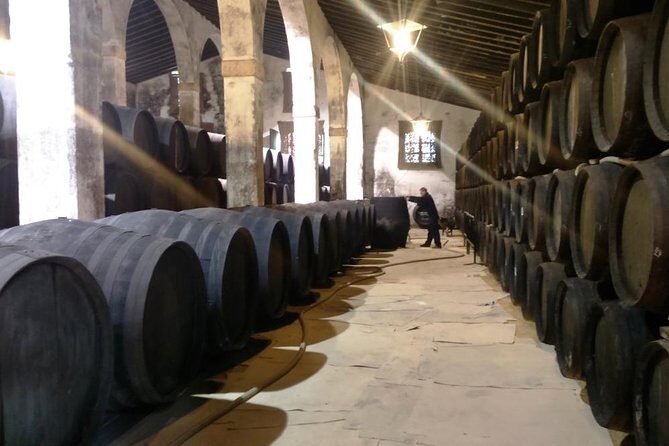 Private wine tour to Jerez de la Frontera