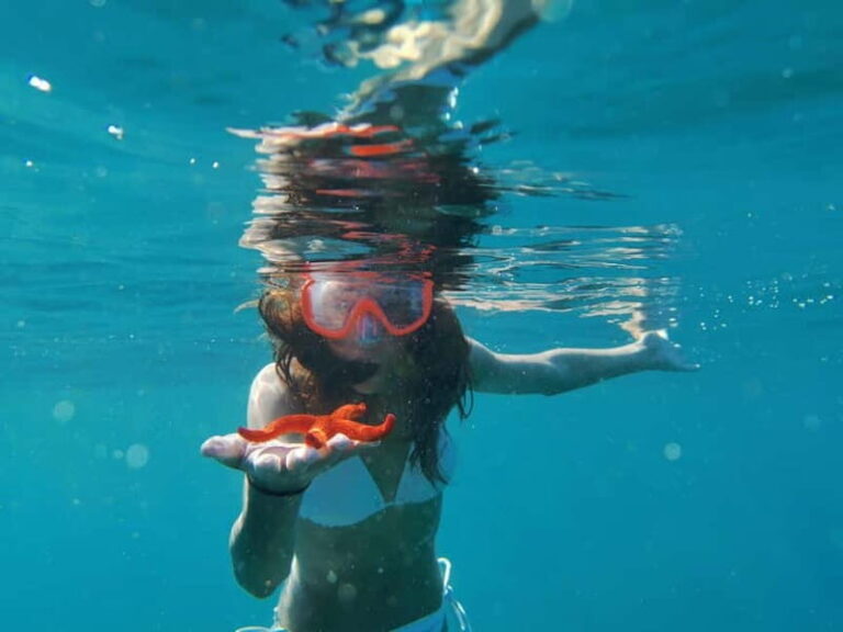 Pula: Boat & Kayak Adventure - Who Will Love This Tour?