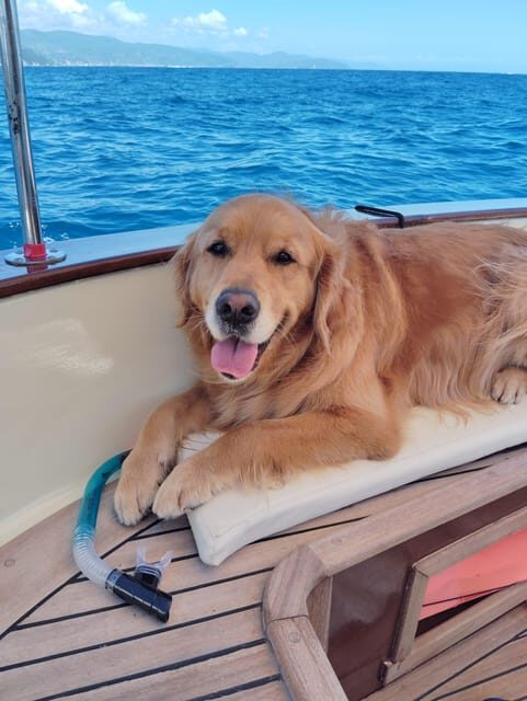 Rapallo: Pilates in Private Boat in Portofino with Breakfast or Aperitif
