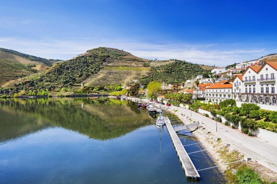 Régua: Wine Tasting at a Farm, Traditional Lunch, Cruise and Train