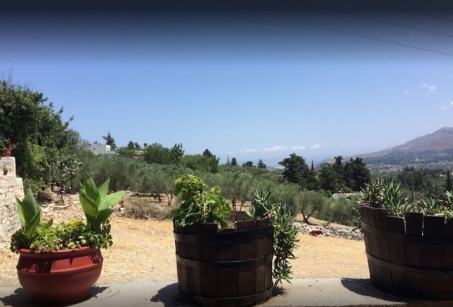 Rethymno: Private Winery & Olive Oil Tasting Tour with Lunch