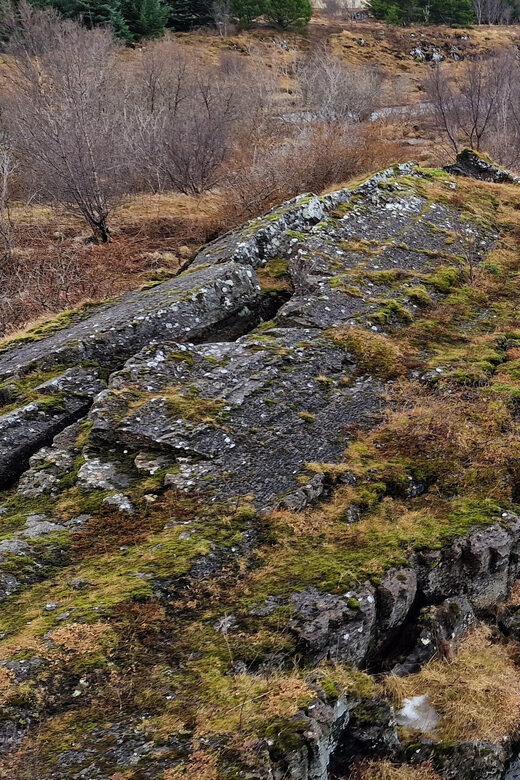 Reykjavik Hidden gems - Private - Half Day tour - with local - Who Will Love This Tour