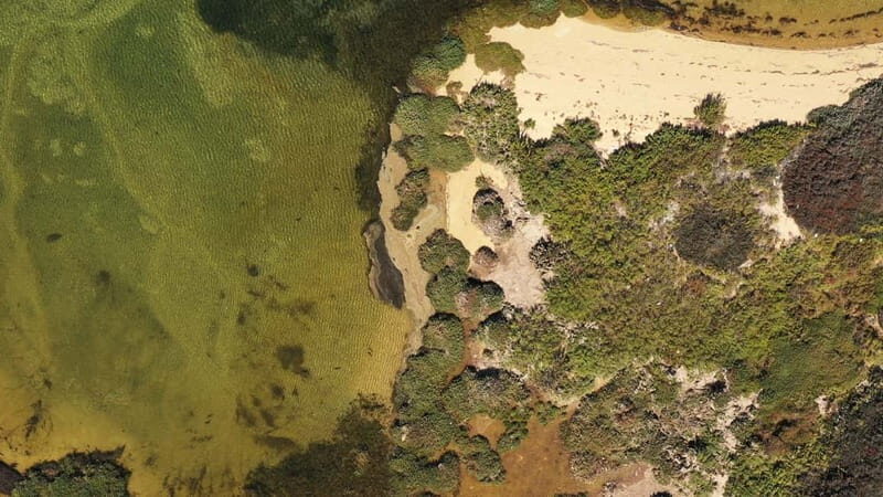 Ria Formosa: Armona and Culatra Islands 3-Hour Boat Tour