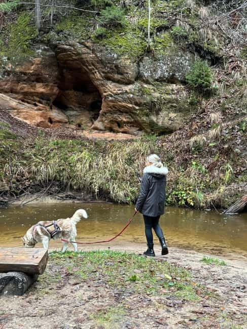 Riga: Husky Hike in the Nature Trail