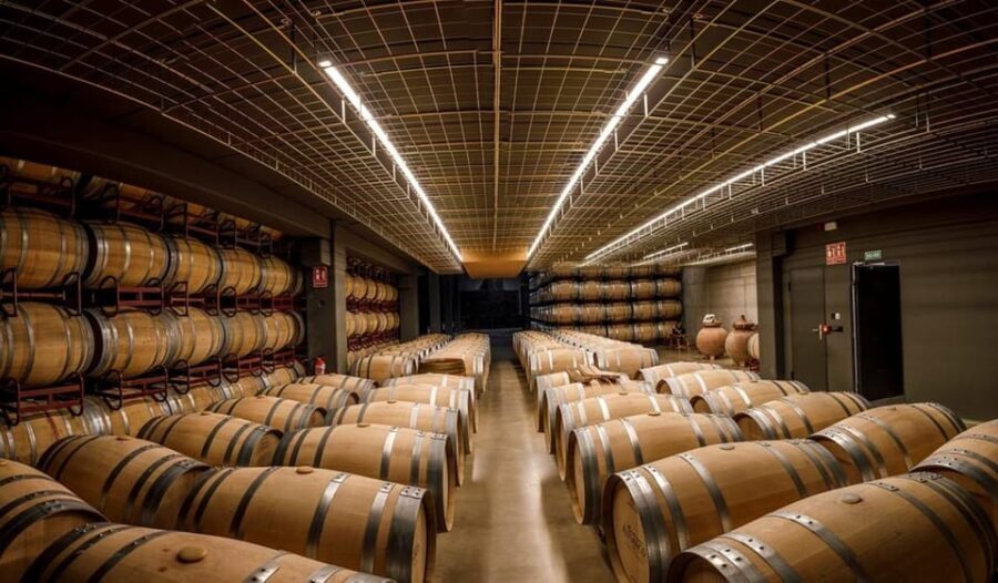 Rioja: Wine tasting and sampling at the Martínez Alesanco family winery