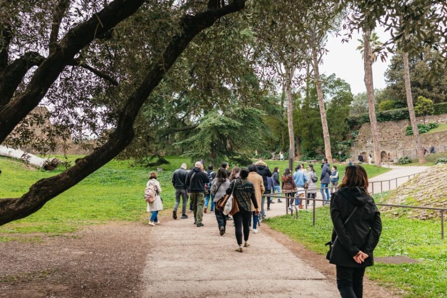 Rome: Colosseum, Palatine Hill & Roman Forum Guided Tour