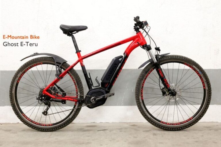 Rome: E-Bike Rental with Helmet and U-Lock - Why This Rental Is a Great Choice for Travelers