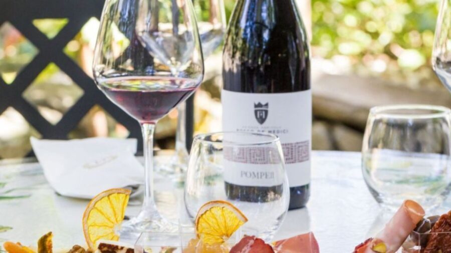 Rome: Pompeii Tour with Wine and Lunch by High Speed Train