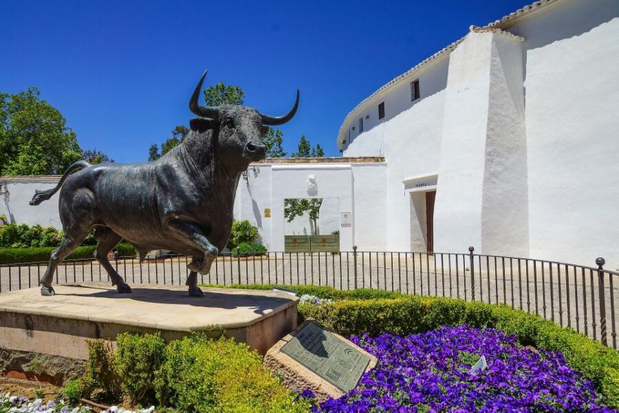 Ronda winery tour from Seville