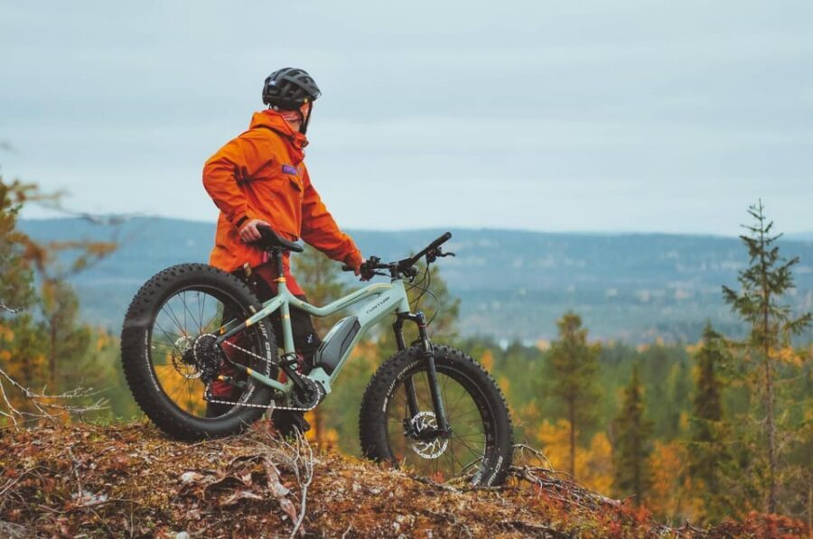 Rovaniemi: Arctic Wilderness & Forests Guided E-Bike Tour