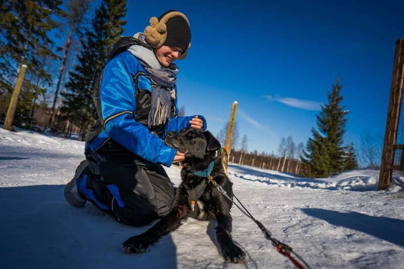 Rovaniemi: Husky Safari & Campfire BBQ  610 km SelfDrive