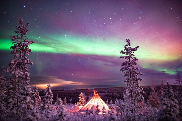 Rovaniemi: Northern Lights Snowmobile Sledge Ride - Who This Tour Is Best For