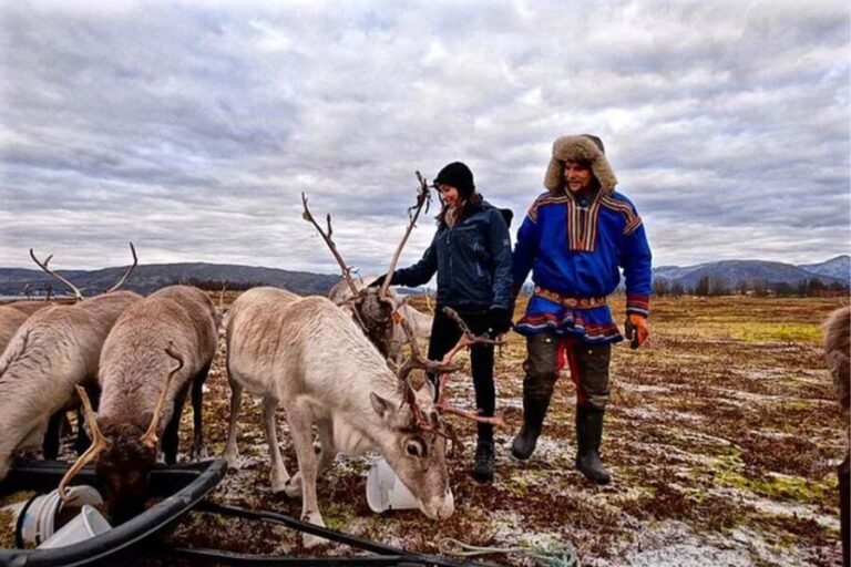 Rovaniemi: Reindeer Farm Visit in the Summer - What Makes This Tour Special?