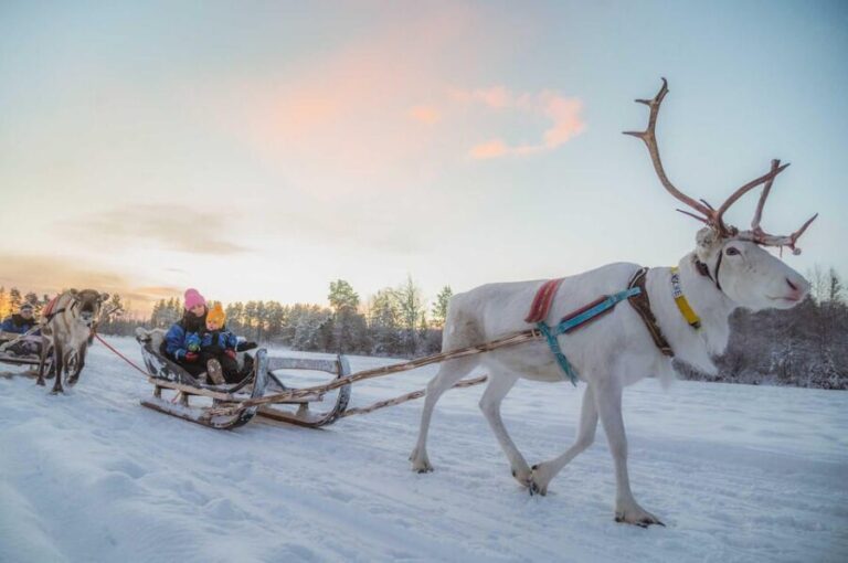 Rovaniemi: Reindeer Ride to Santa through the Magic Forest - FAQ