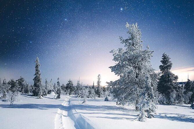Rovaniemi: Riisitunturi Full-Day Wilderness Adventure & BBQ