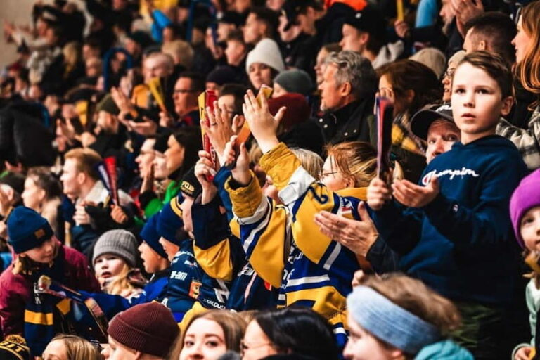 Rovaniemi: RoKi Hockey Ice Hockey Tickets - Who Should Consider This Experience?