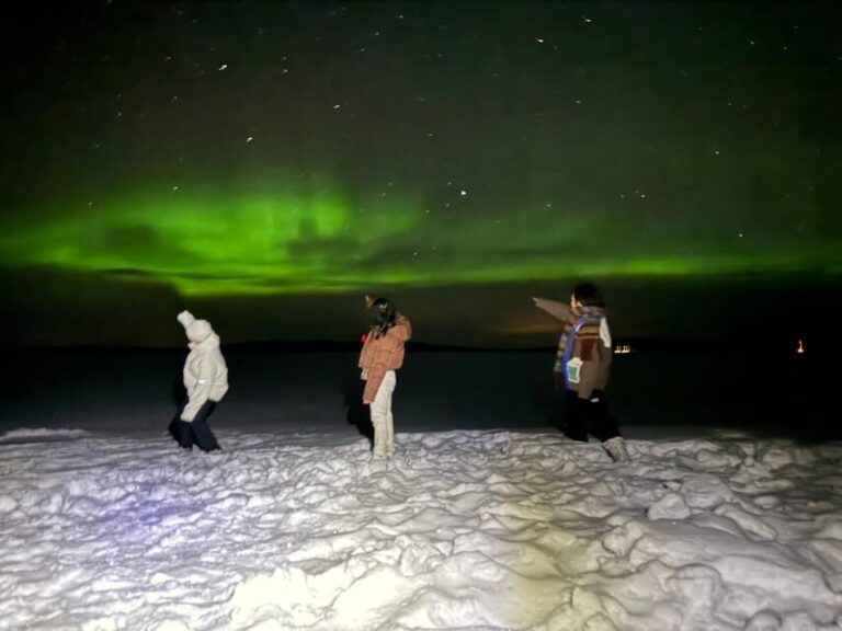 Rovaniemi:Northern Lights Hunt in Lapland Wilderness - An In-Depth Look at the Northern Lights Tour in Rovaniemi