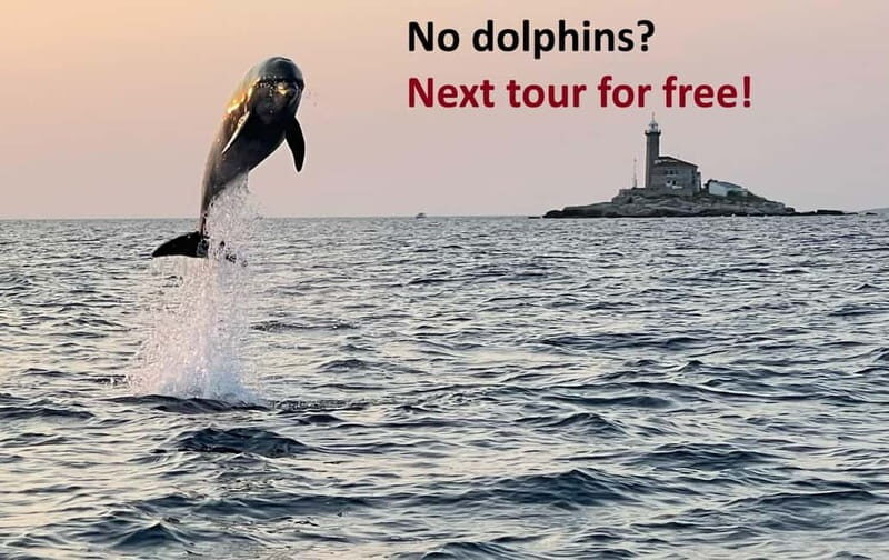 Rovinj: Dolphin Watching Sunset Speedboat Tour with Drinks