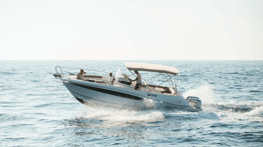Rovinj: Family Friendly Dolphin Watching Tour