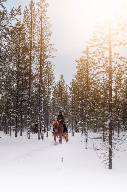 Saariselkä: Arctic Trail Horse Riding Tour - What’s Included and What’s Not