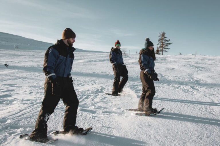 Saariselkä: Scenic Snowshoe Safari - Comfortable Gear and Warmth
