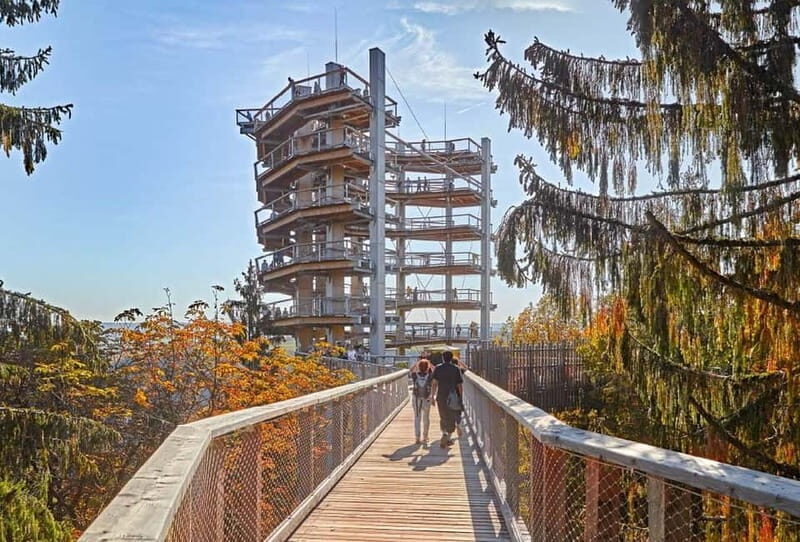 Saarland: Treetop Walk Saarschleife & Lookout Tower